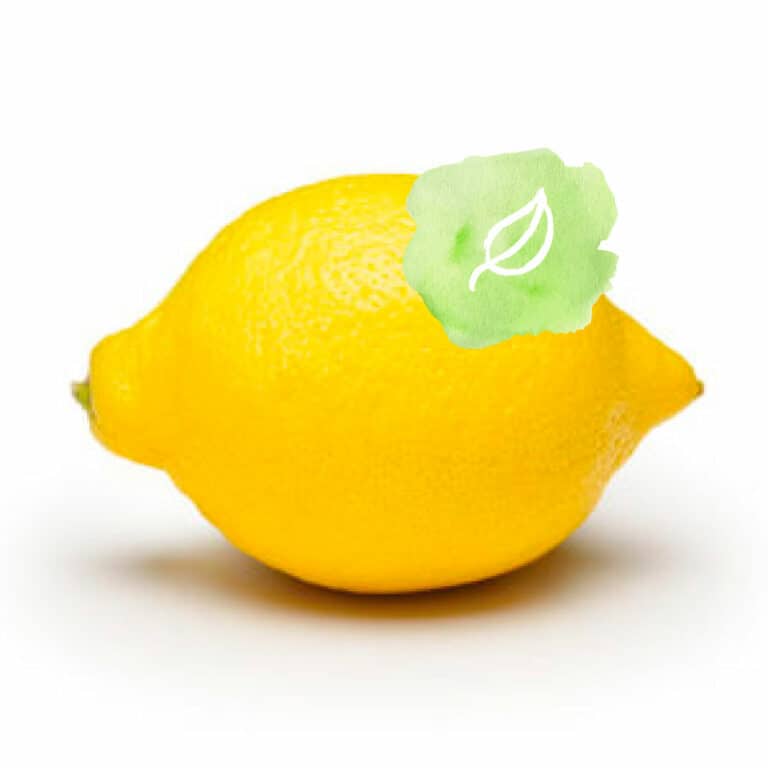 BIO - TANA